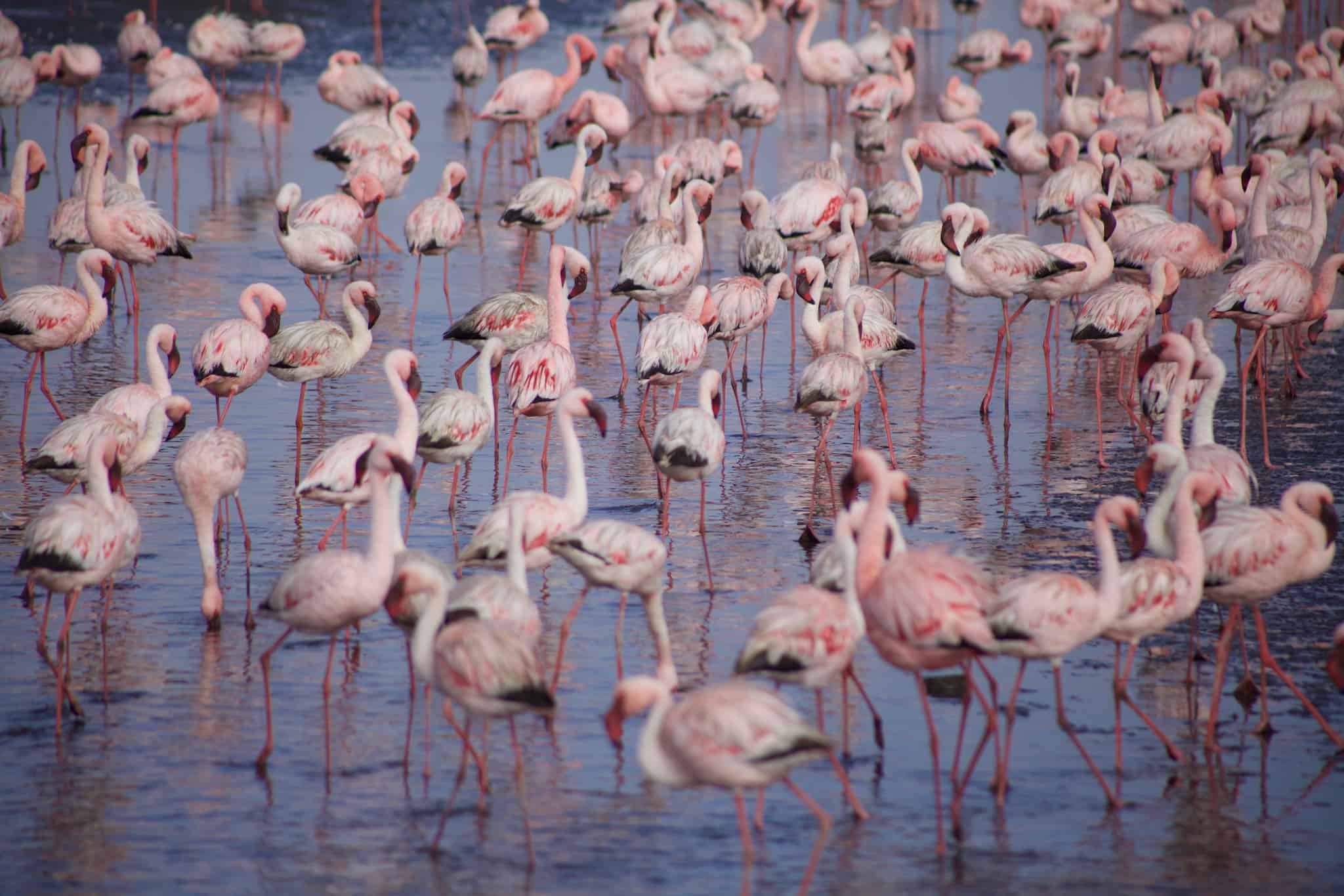 The Ideal Northern Namibia Road Trip Route