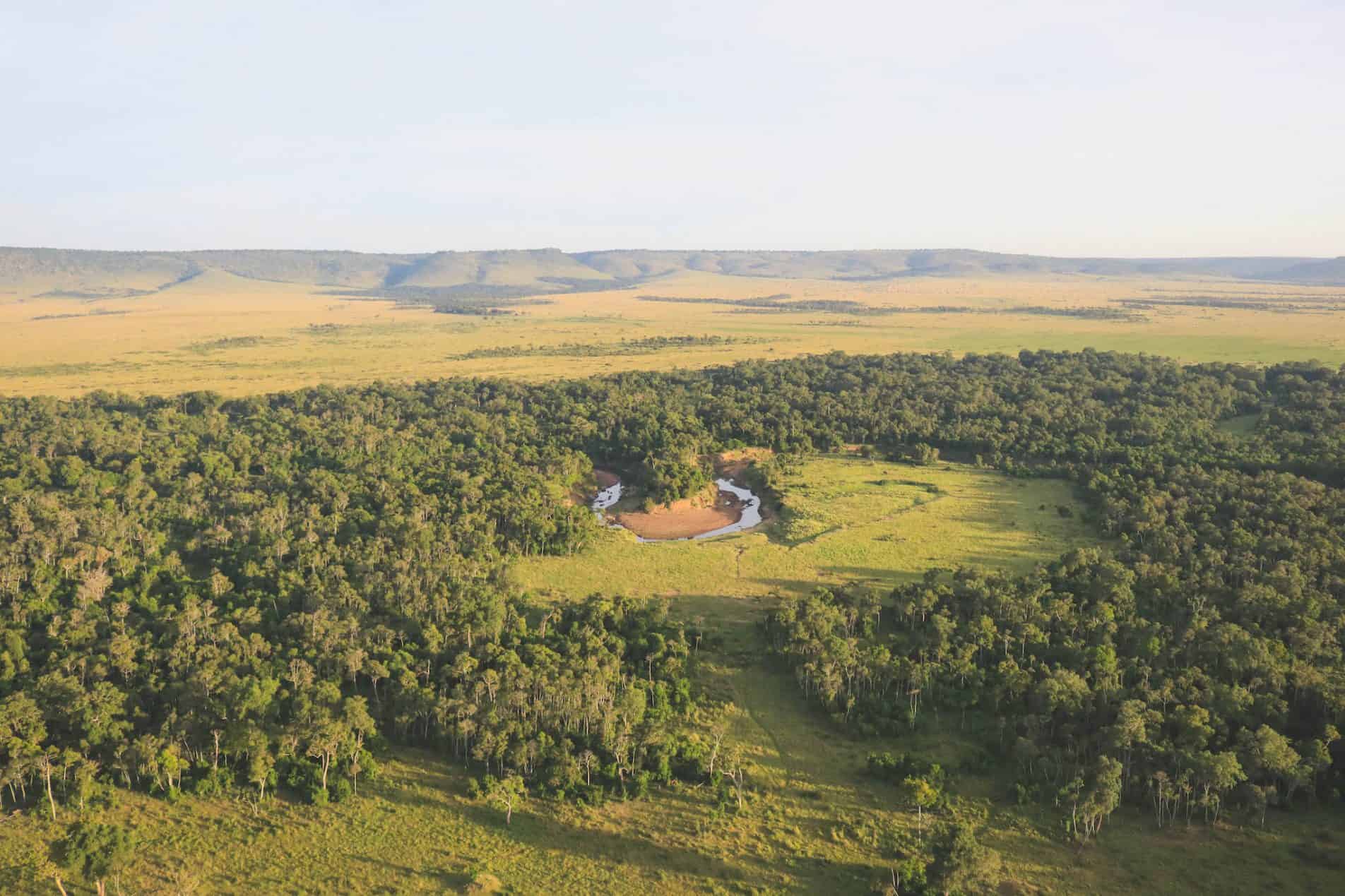 A Masai Mara Safari In Kenya: All You NEED To Know