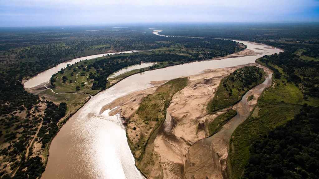 Inside Zambia's South Luangwa National Park • Your Ultimate Safari Guide