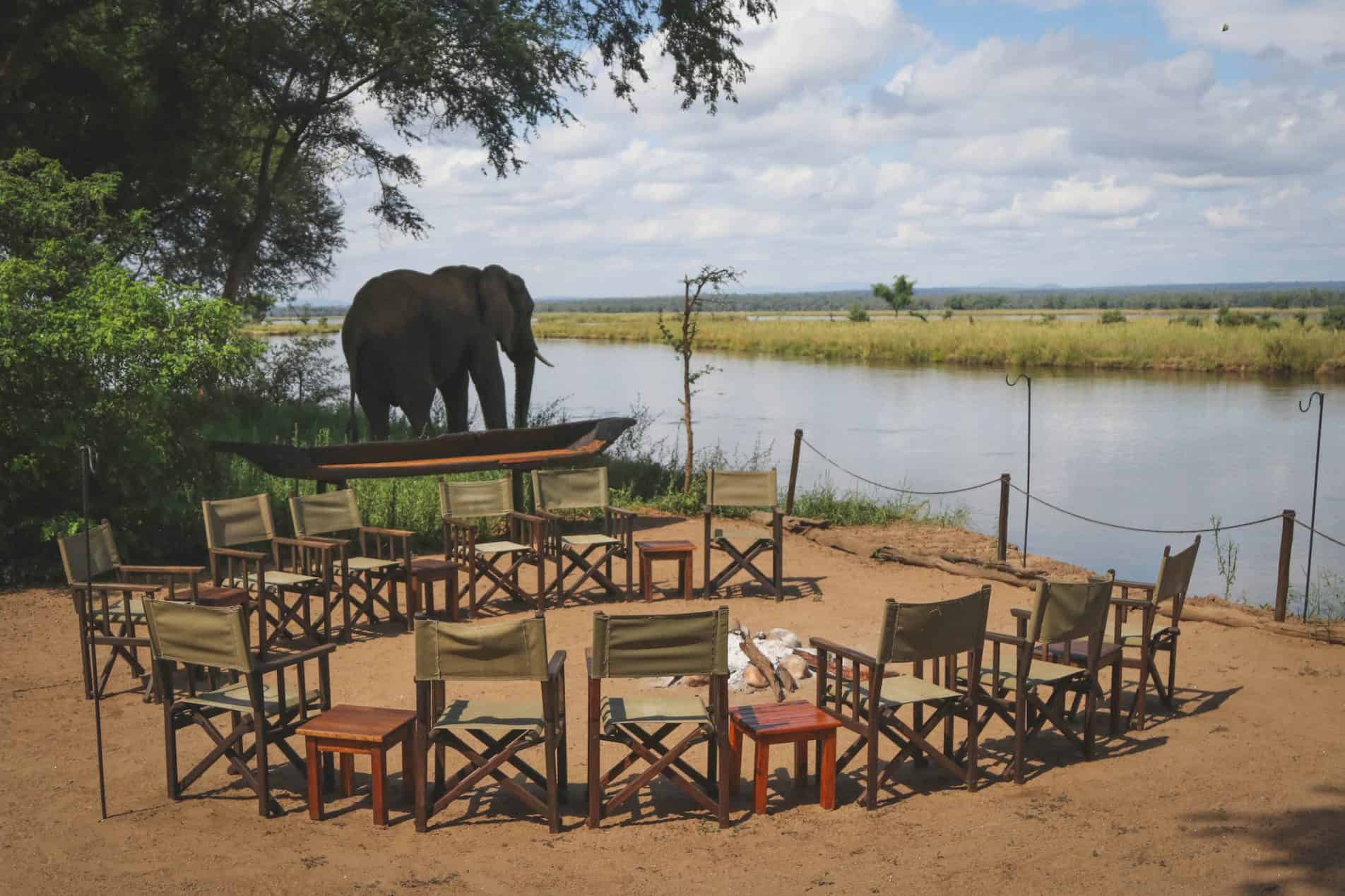 Inside Zambia's Lower Zambezi National Park • Your Ultimate Safari Guide