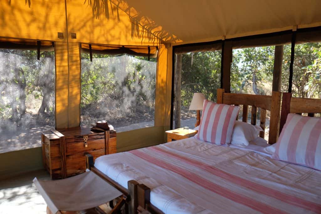 Inside Tanzania's Ruaha National Park • Your Ultimate Safari Guide