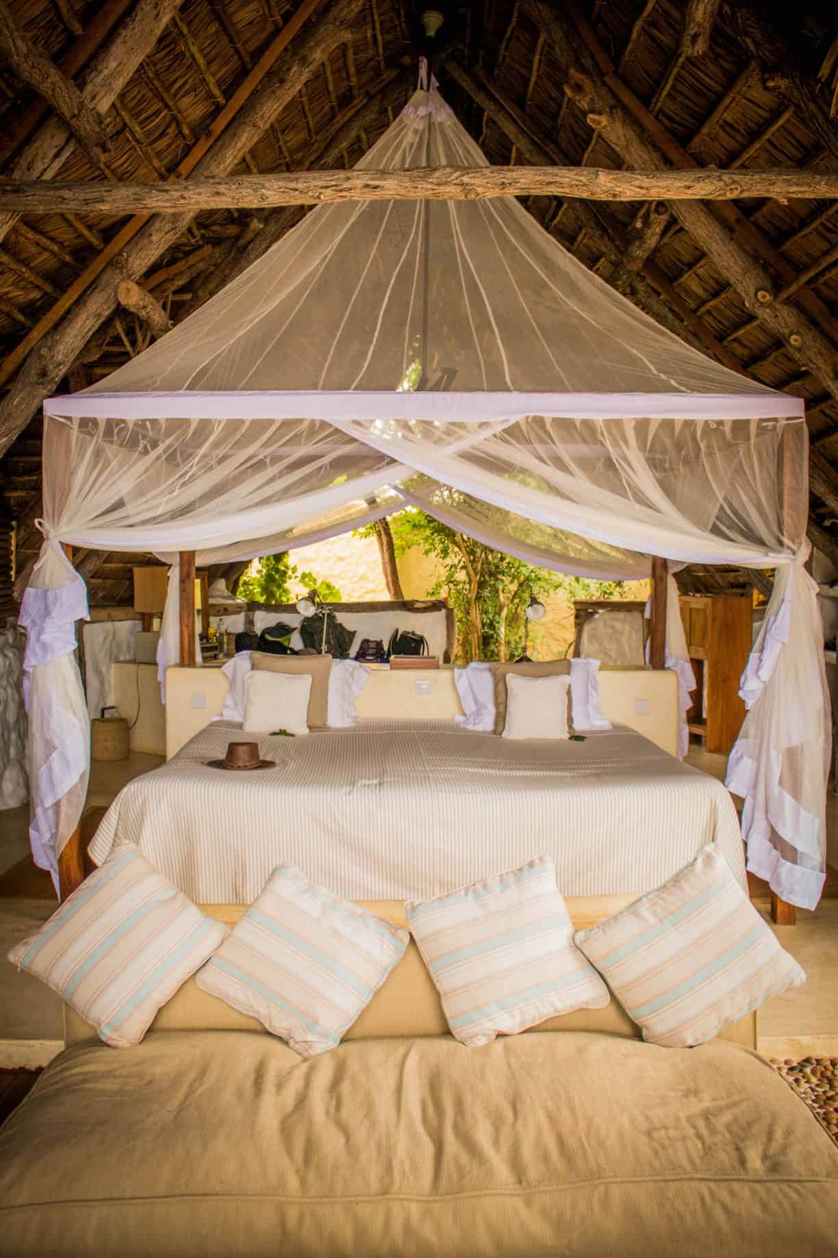 Inside Tanzania's Selous Game Reserve • Your Ultimate Safari Guide