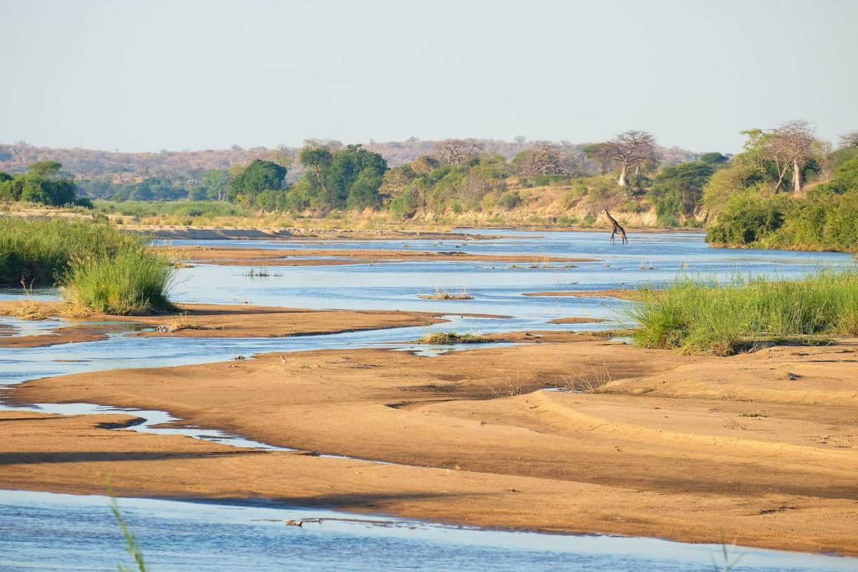 Inside Tanzania's Ruaha National Park • Your Ultimate Safari Guide