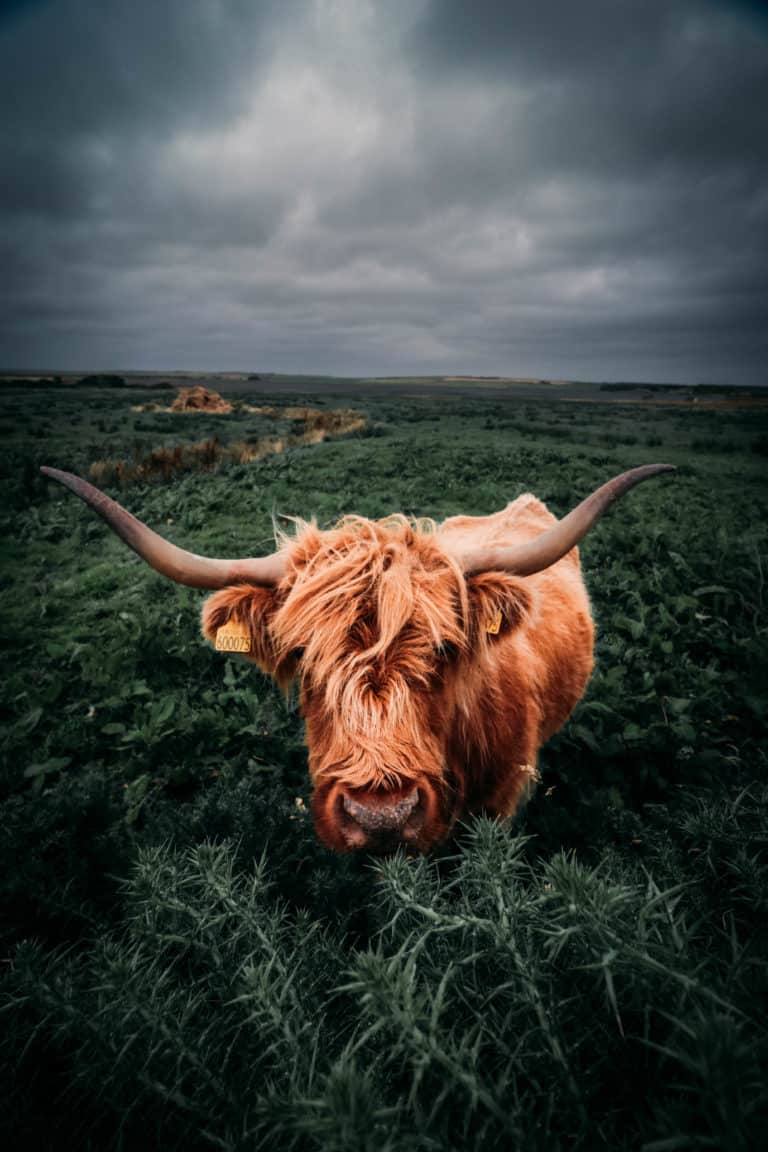 When Is The BEST Time To Visit Scotland?