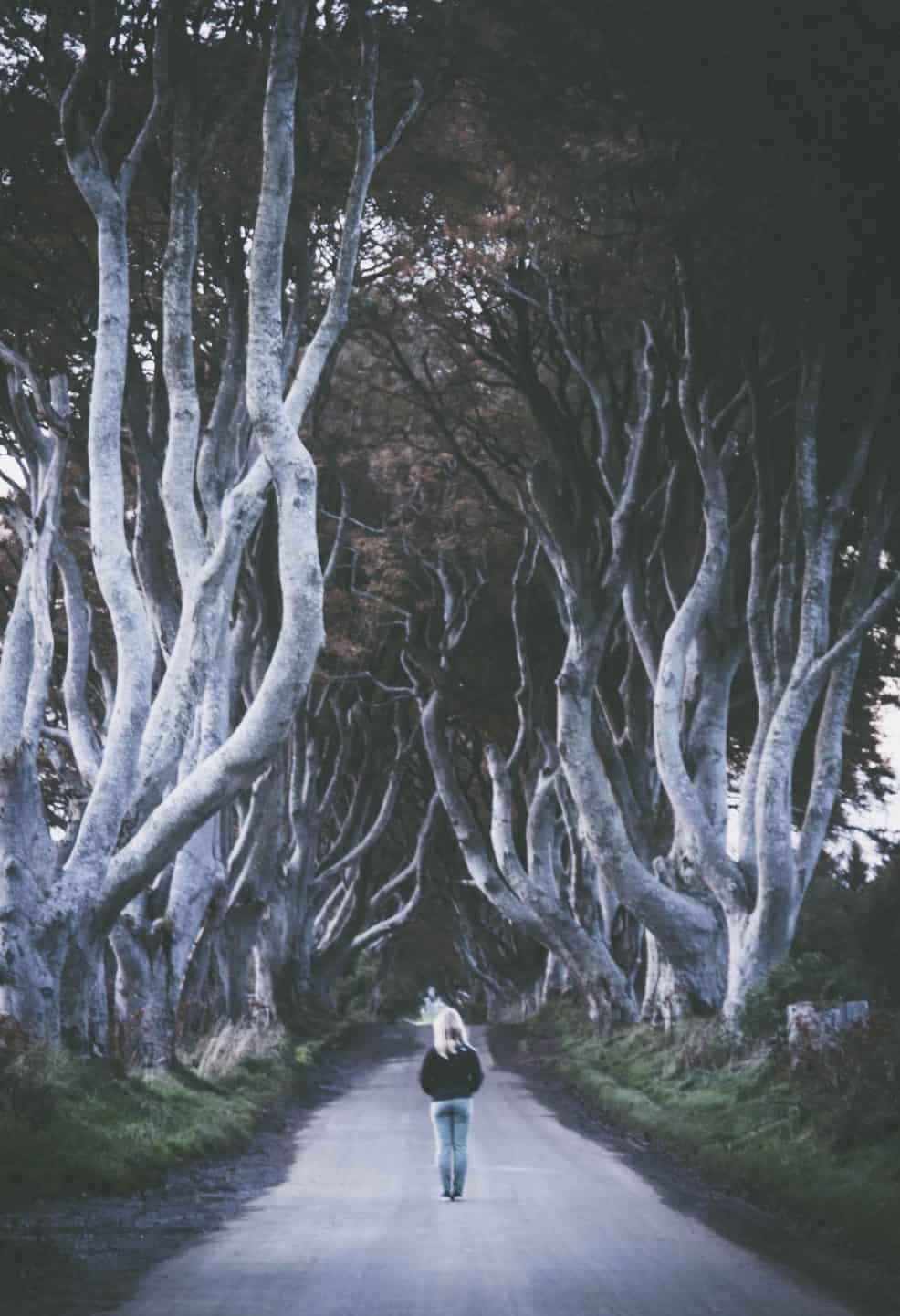 16 Awesome Things To Do In Belfast (Plus Epic Day Trips)