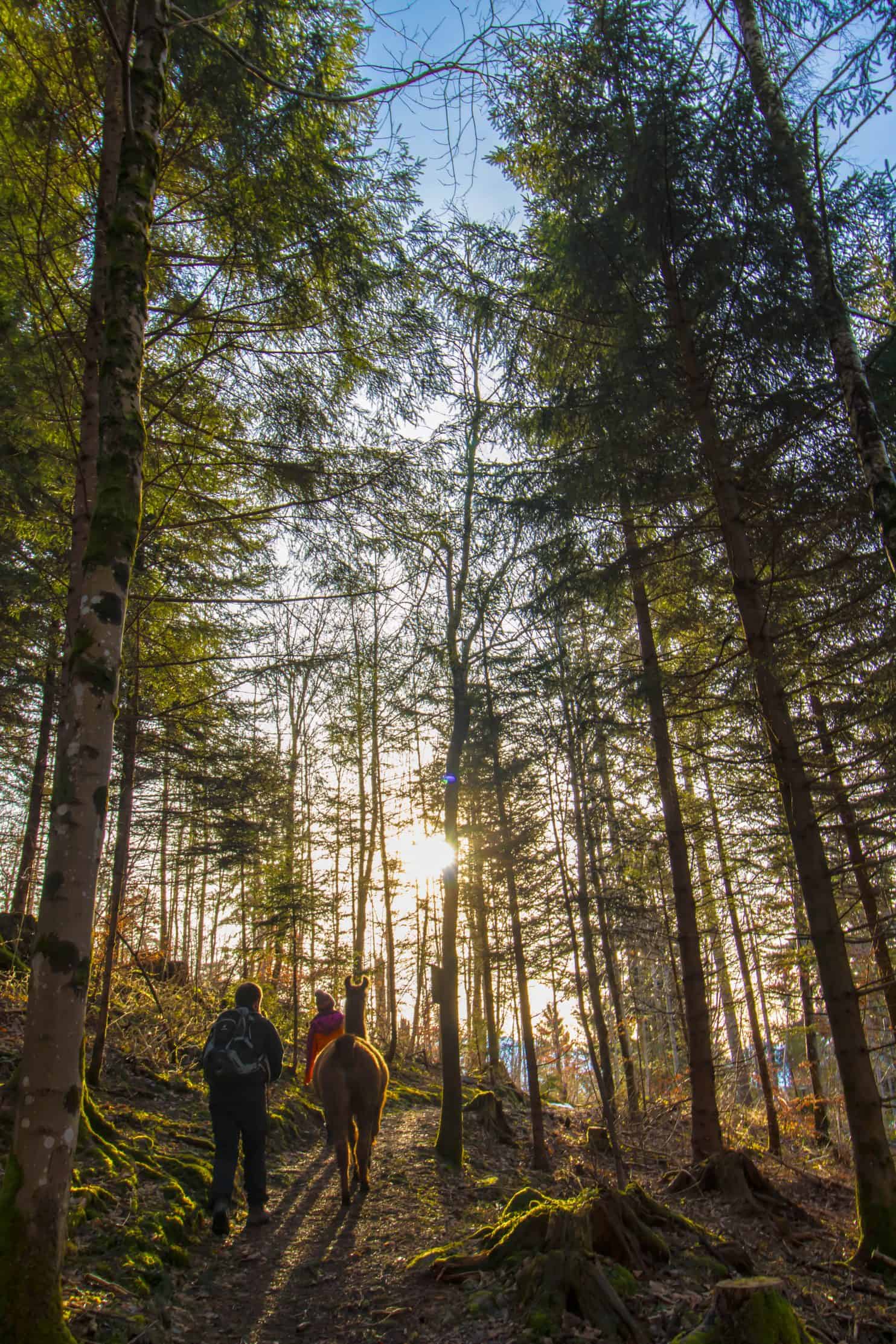 Best Things To Do in Malbun, Liechtenstein in the Winter