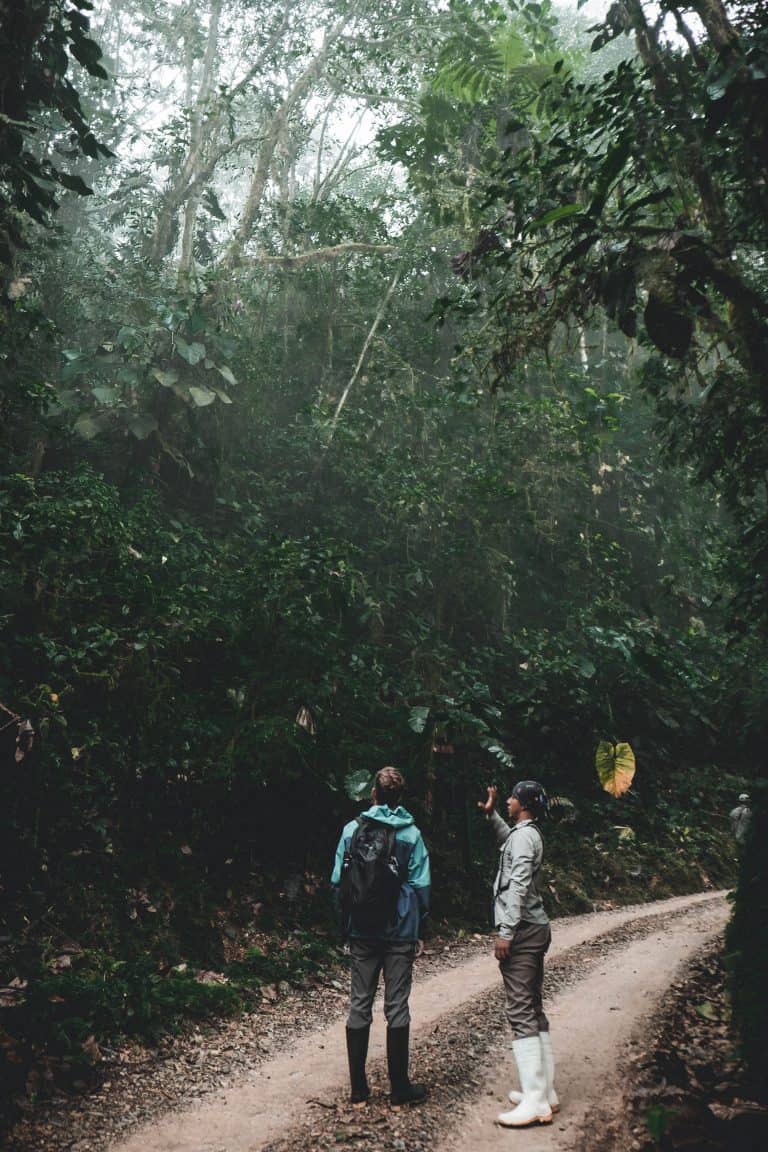 30 FUN & Interesting Facts About Ecuador That Will Blow Your Mind