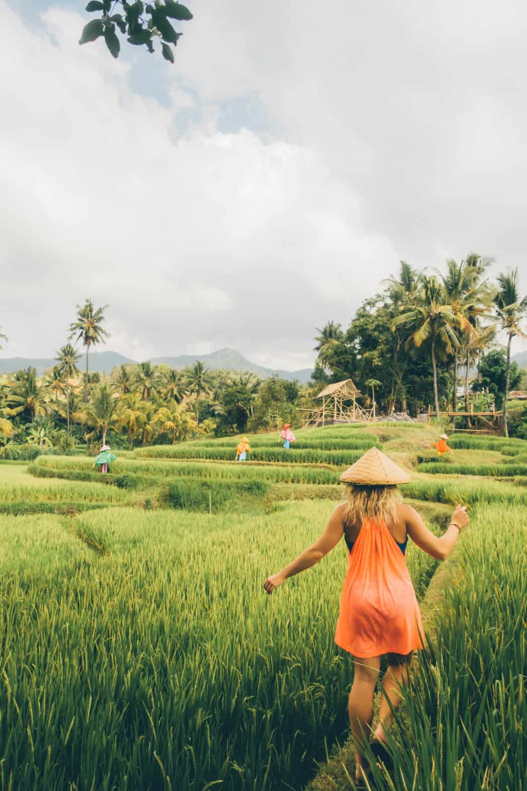 30 FUN Facts About Bali You Will Love!