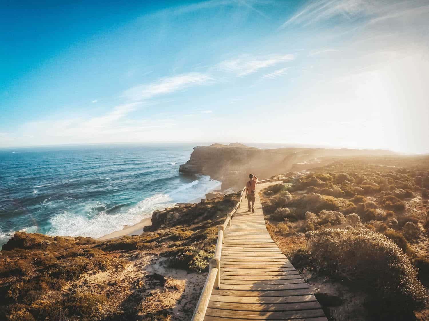 43 Fantastic Things To Do In Cape Town South Africa