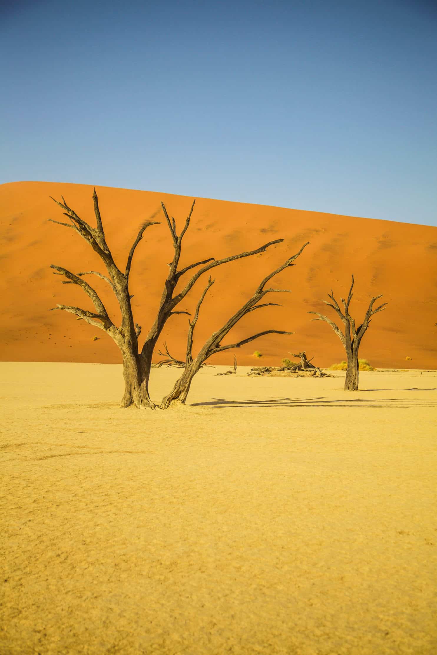 17 Important Namibia Travel Tips To Know Before You Go