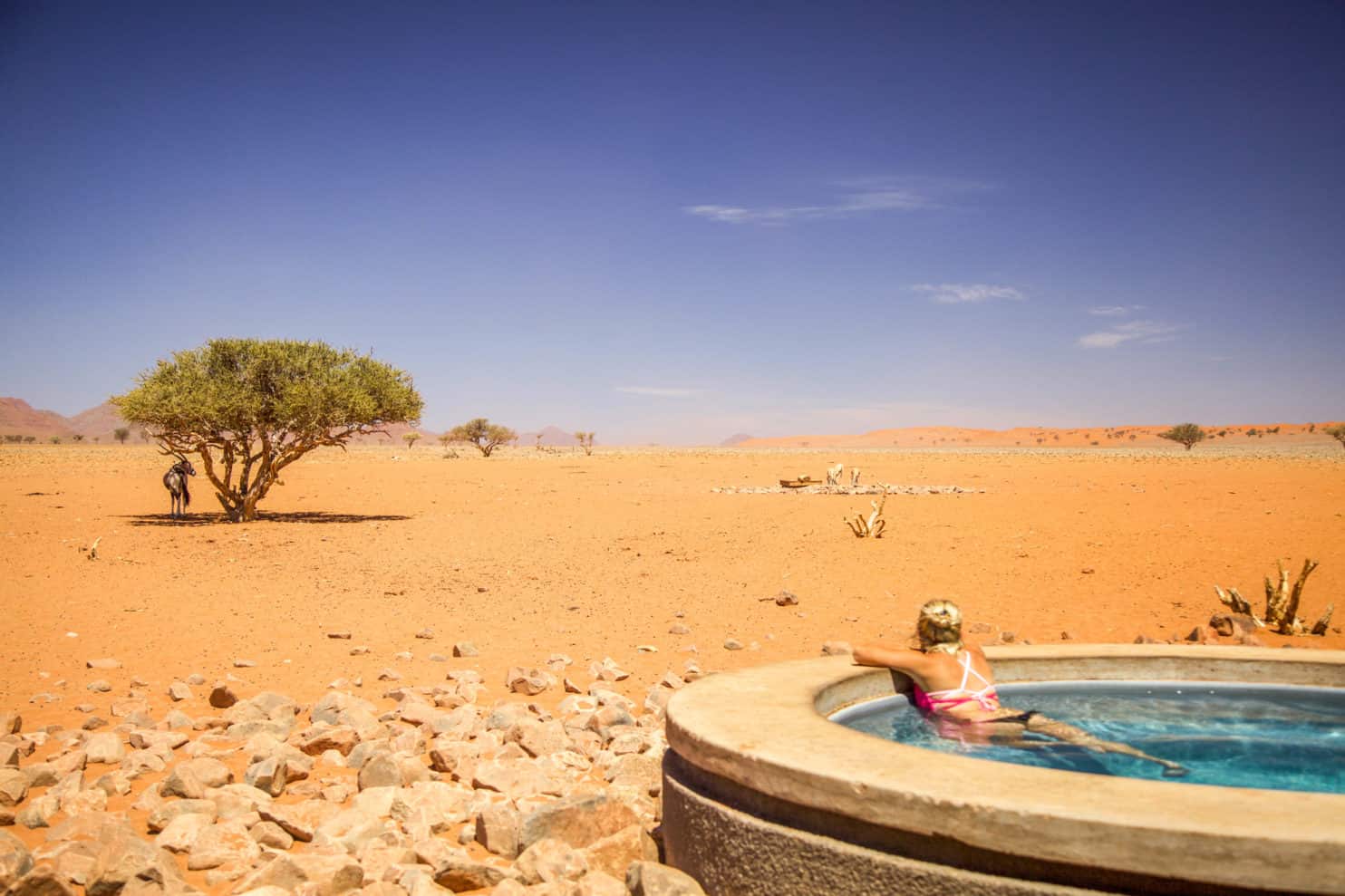 When Is The Best Time To Visit Namibia?