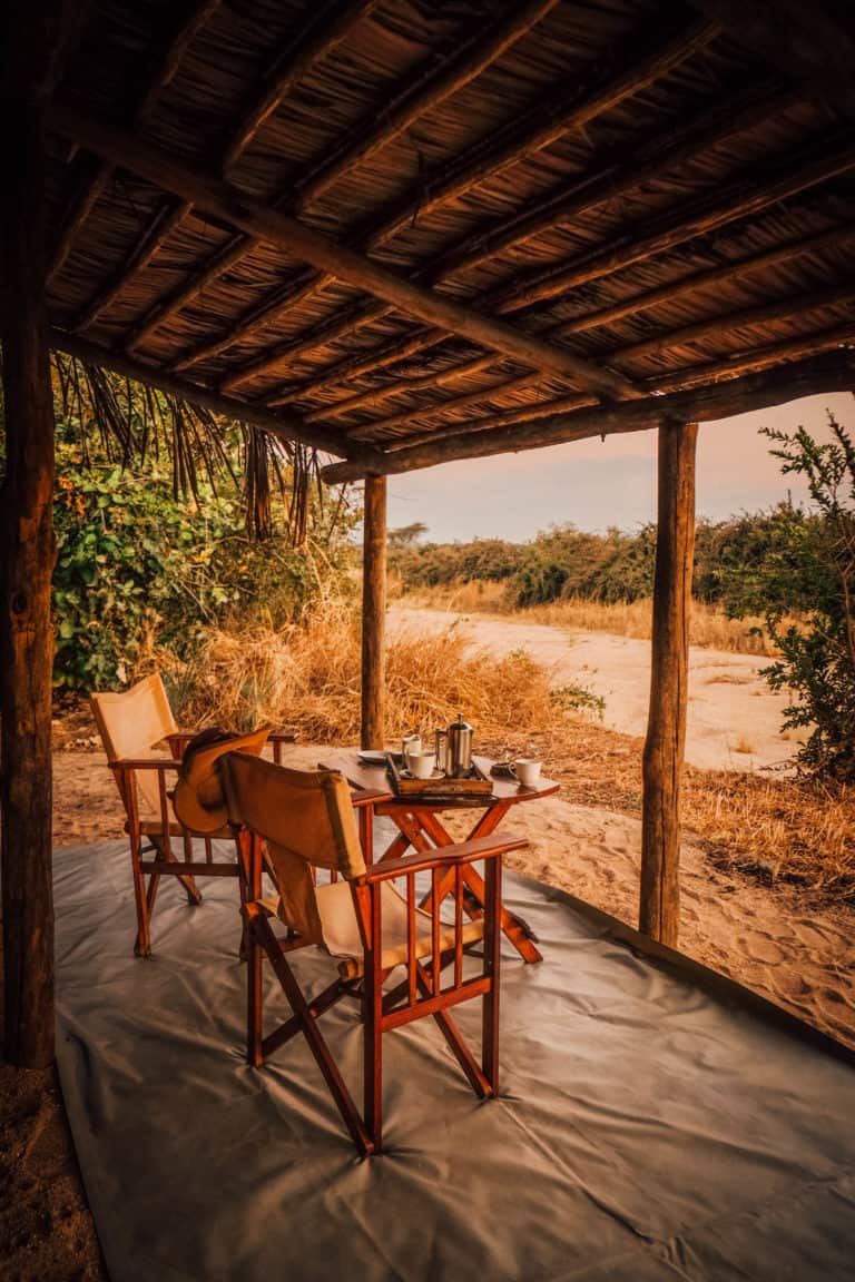 10 BEST Safari Cameras And Lenses In 2024