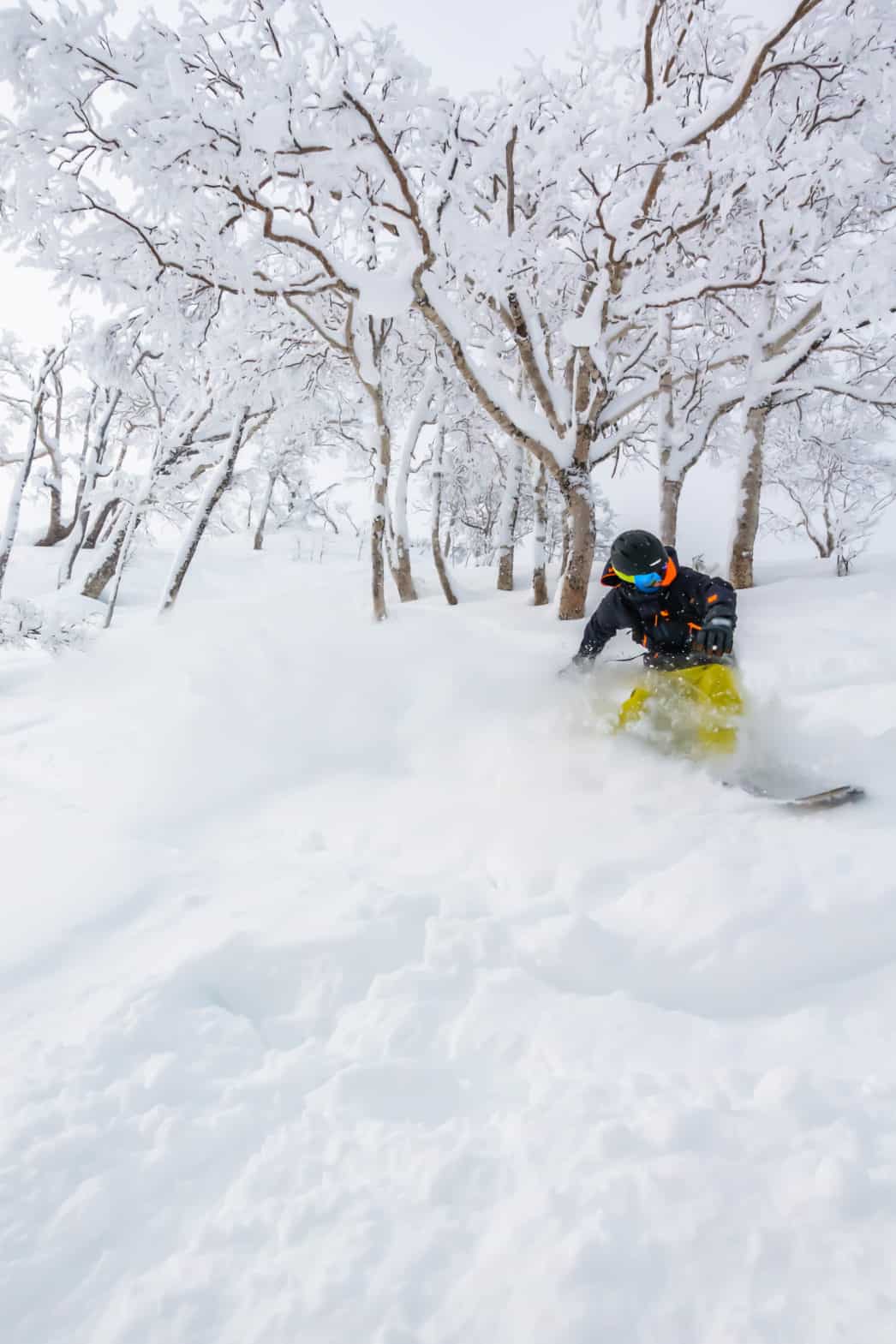 Niseko Ski Resort: 25 Things To Know BEFORE You Visit