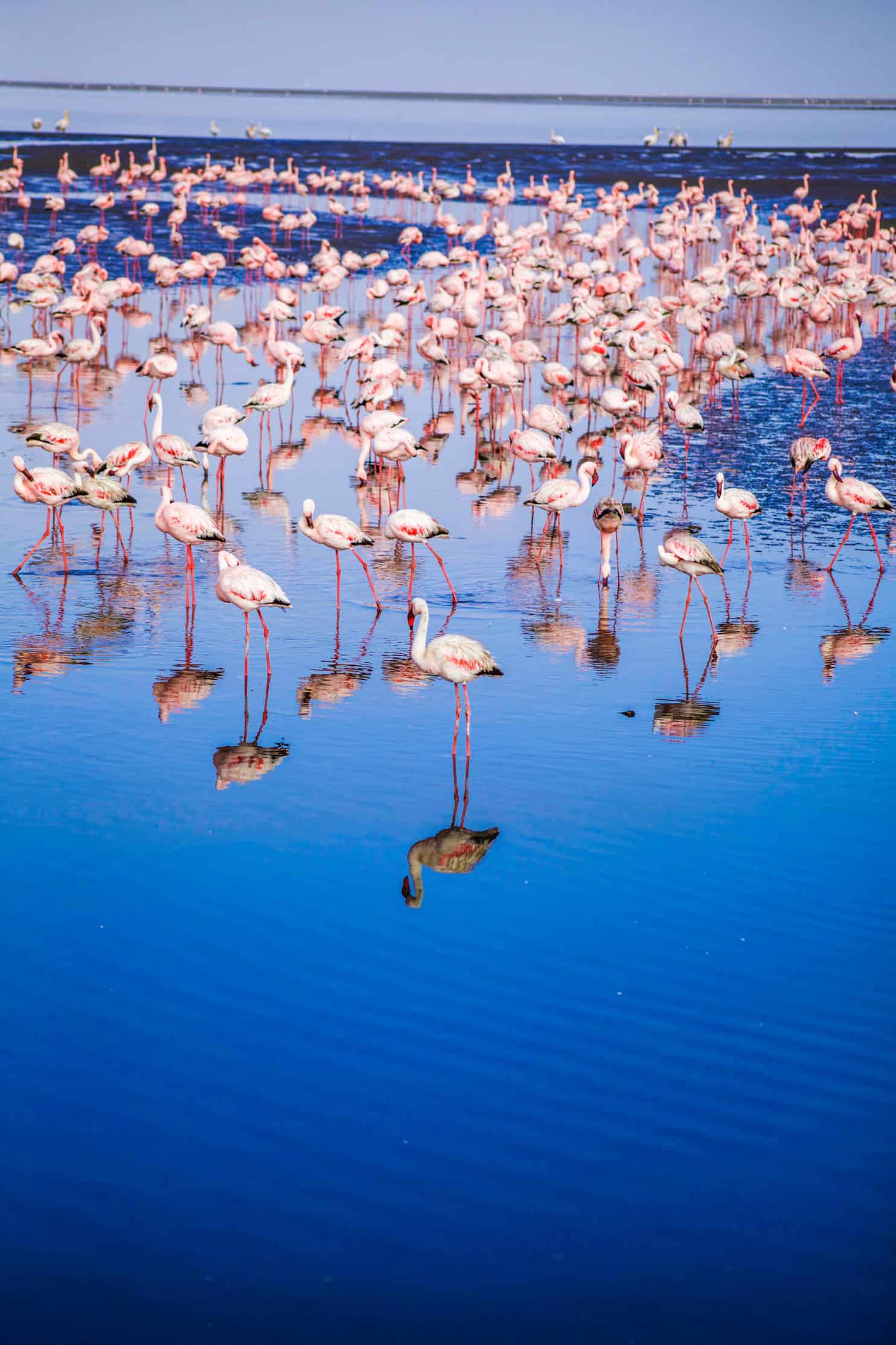 11 Best Things To Do In Swakopmund, Namibia