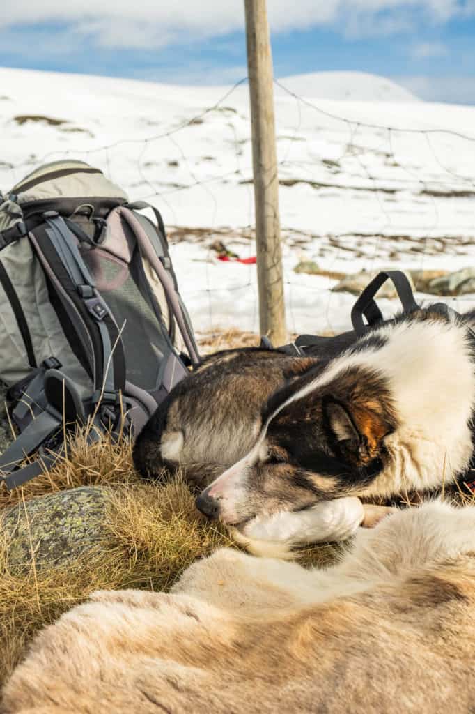 17 Reasons Norway In The Winter Is Simply Amazing