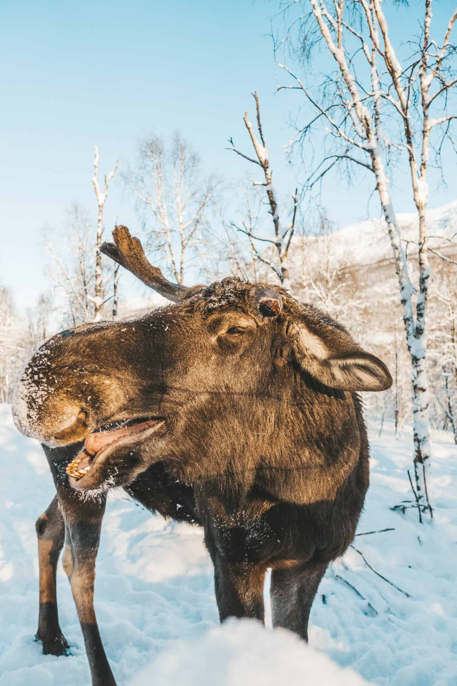 17 Norway in Winter is the Best Time to Travel