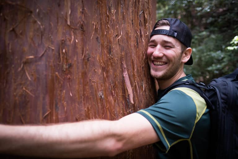 How to Hike the Kumano Kodo Trail in Japan • Things to Know