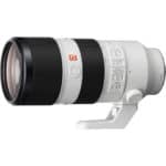 10 BEST Safari Cameras And Lenses In 2024