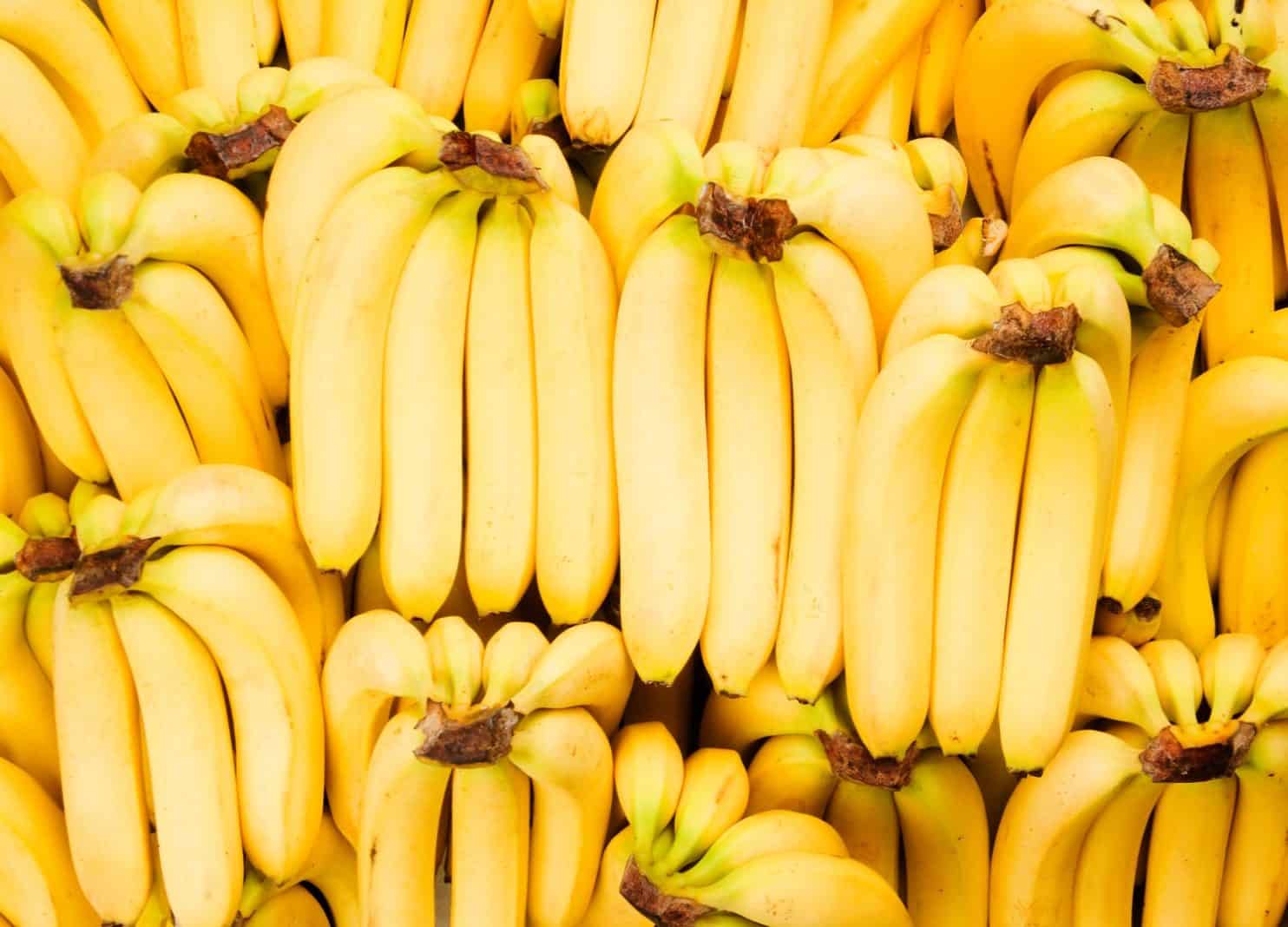 30 FUN & Interesting Facts About Ecuador That Will Blow Your Mind