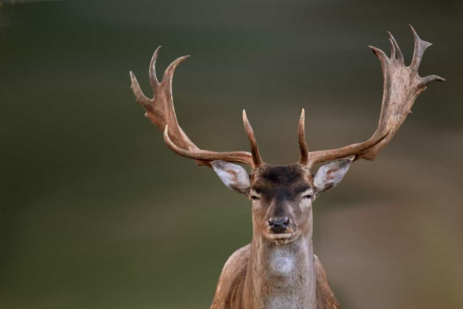 34 Fun Facts About London You Will Love