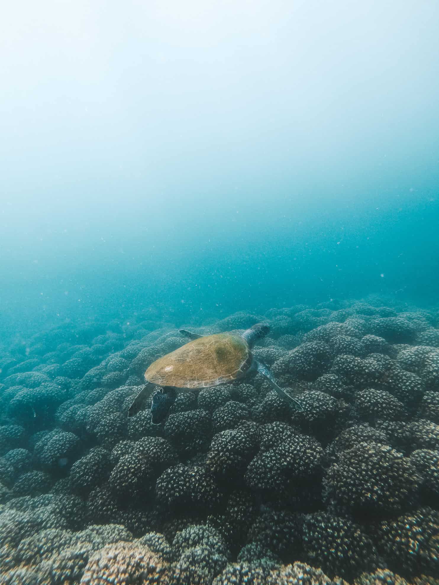 10 Best Things To Do In Muscat, Oman • Muscat Travel Guide