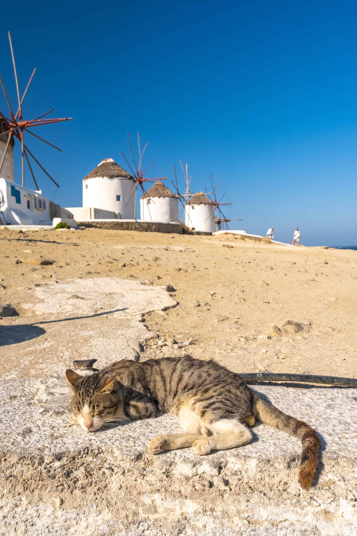 20 BEST Things To Do In Mykonos, Greece In 2024