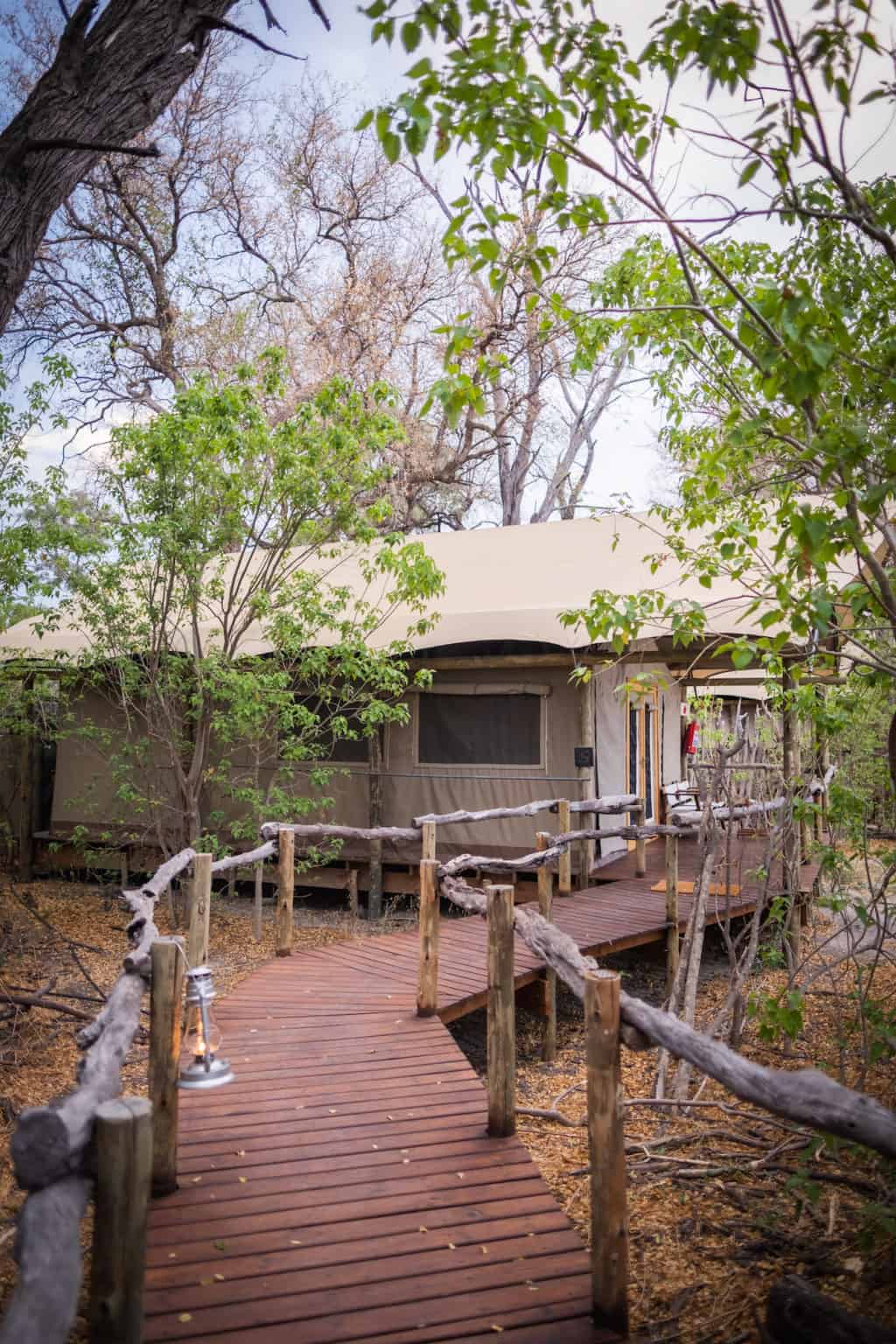 Inside Khwai Reserve • Your Ultimate Botswana Safari Guide