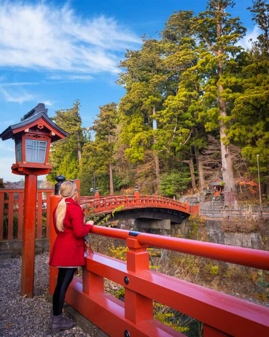 How to Get From Tokyo to Nikko with the Nikko Pass