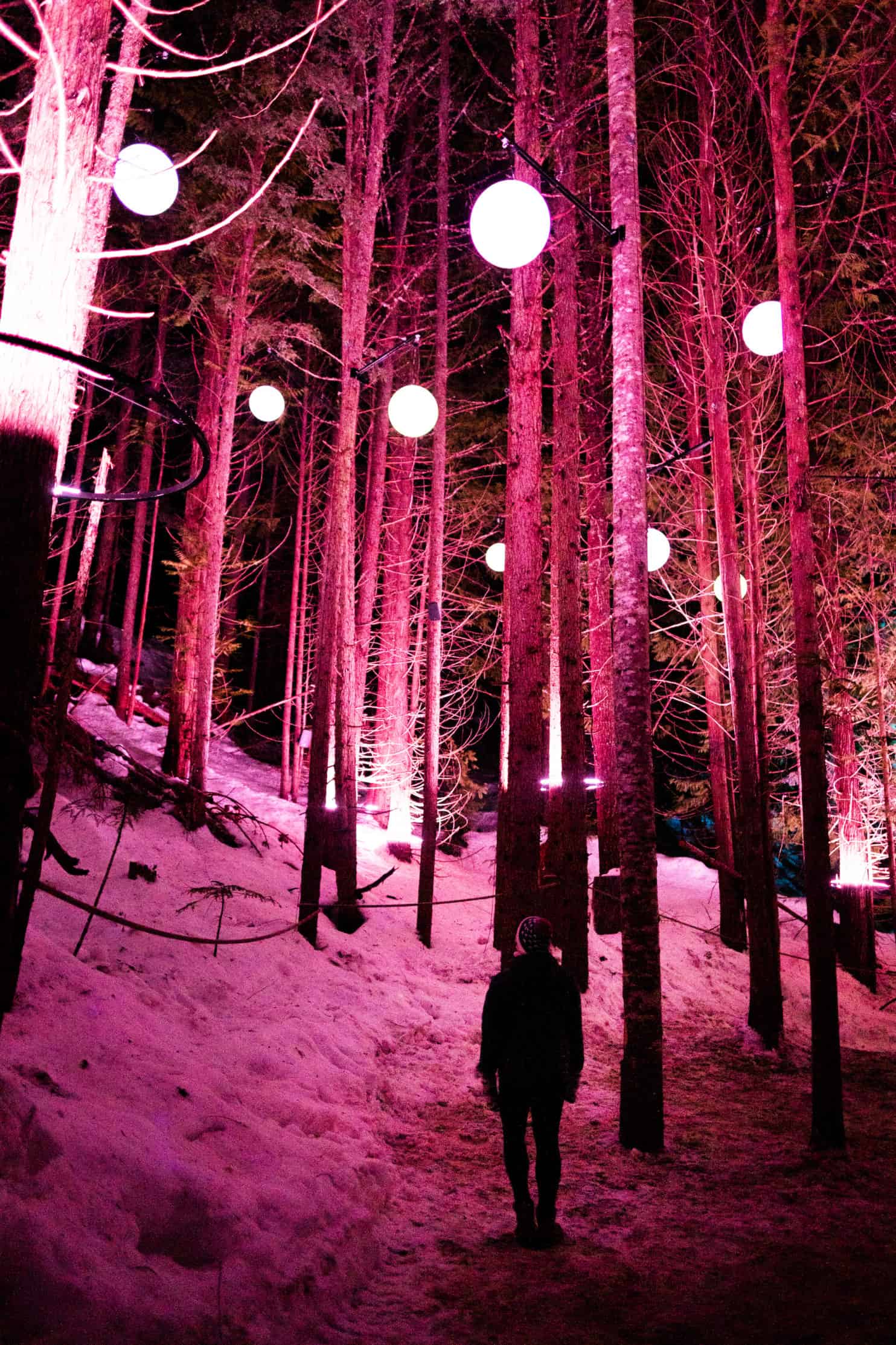 Your Ultimate Guide To Skiing At Whistler