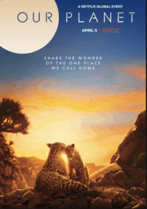 20 SPECTACULAR Safari Movies To Watch Before Your Safari