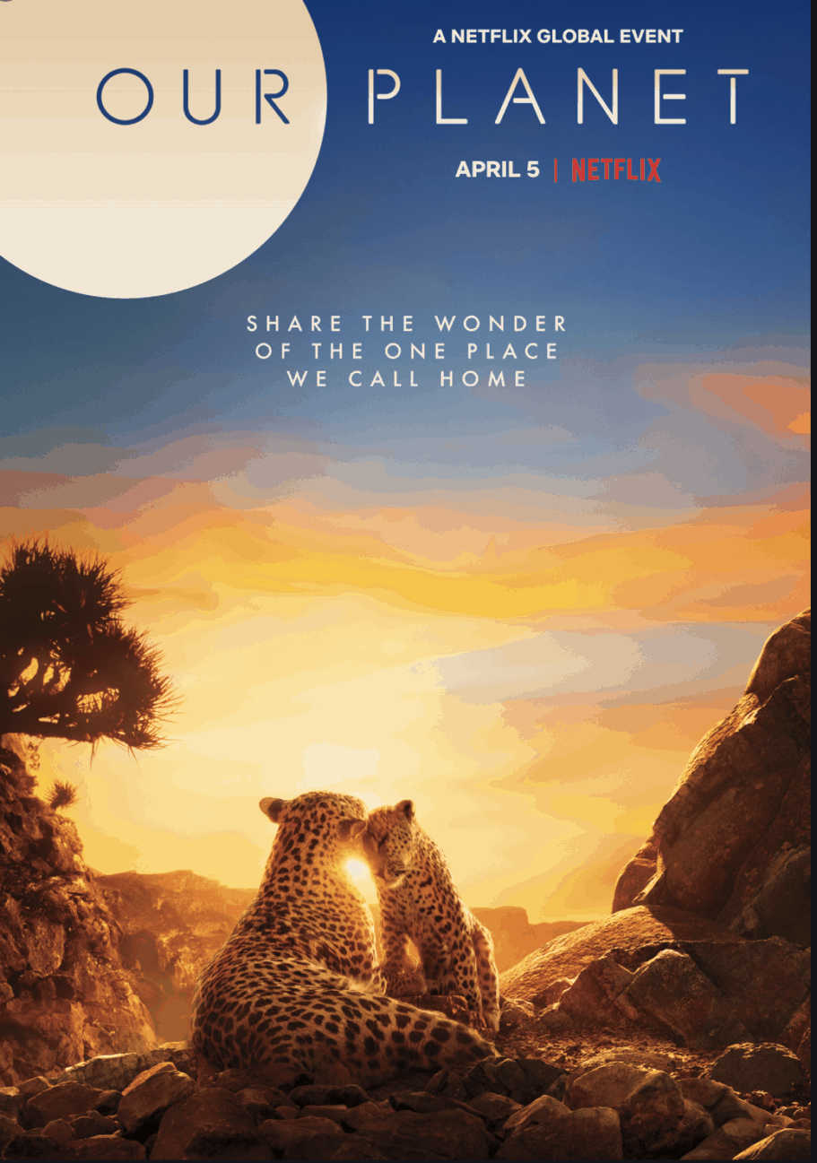 20 SPECTACULAR Safari Movies To Watch Before Your Safari