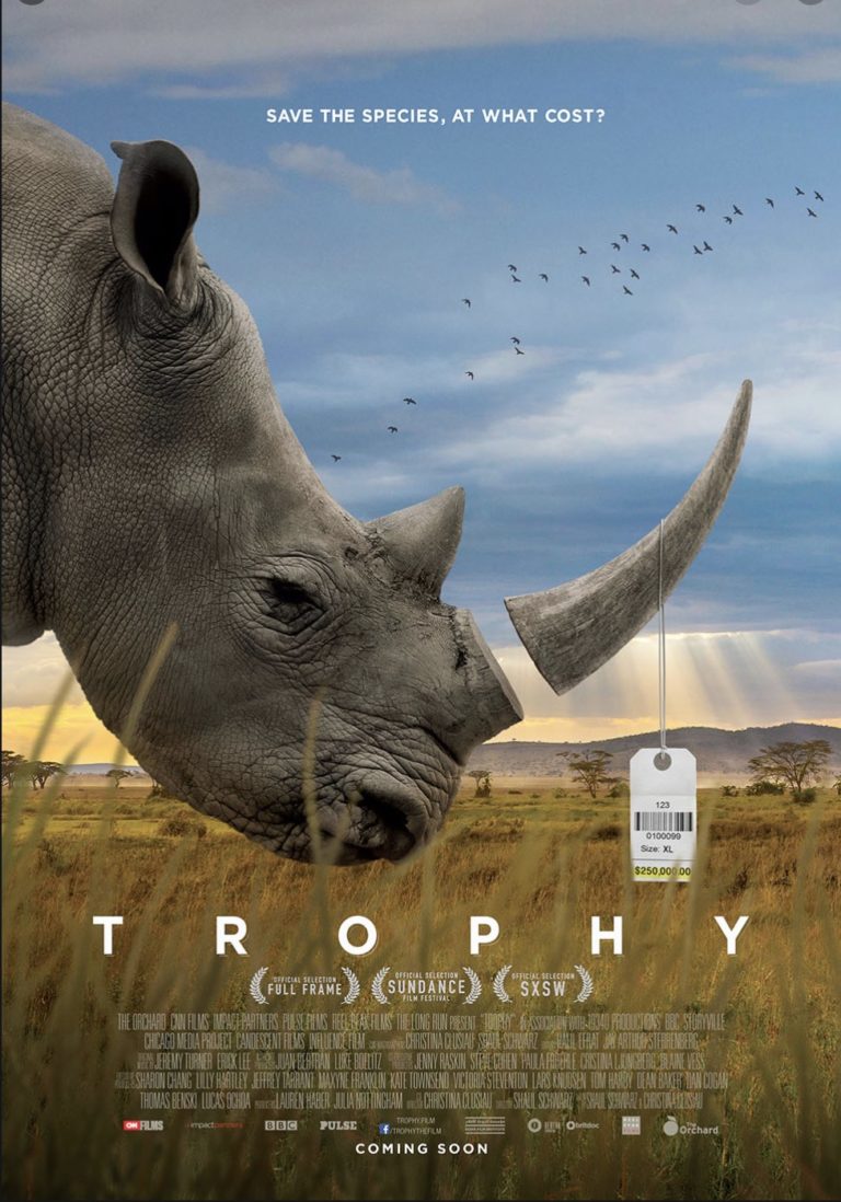 20 SPECTACULAR Safari Movies To Watch Before Your Safari