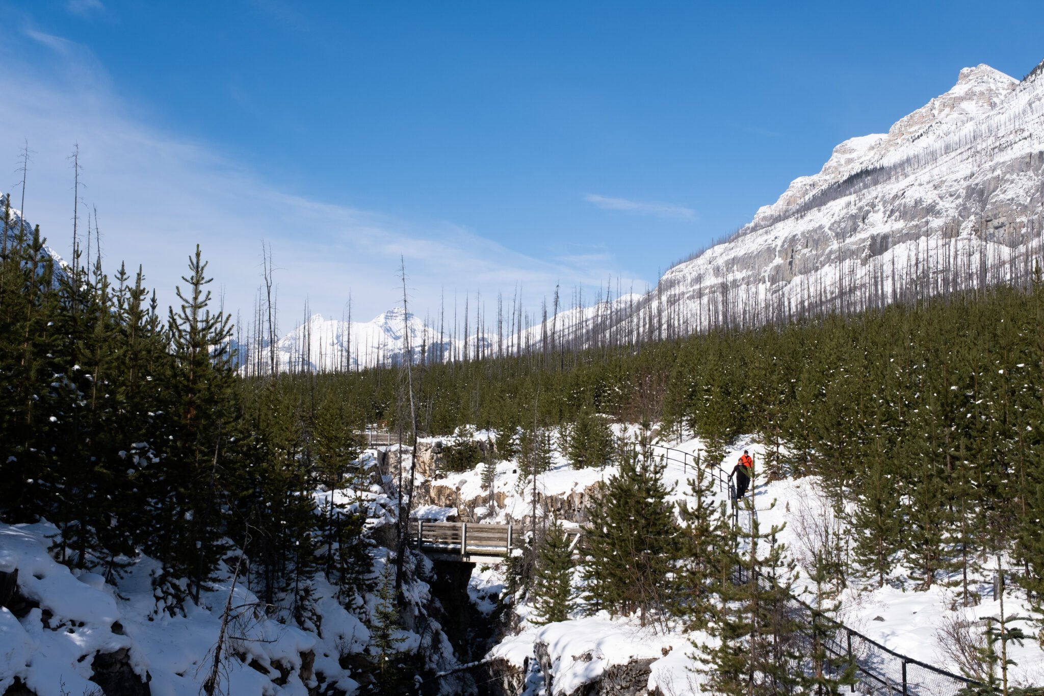 50 BEST Things To Do In Canada