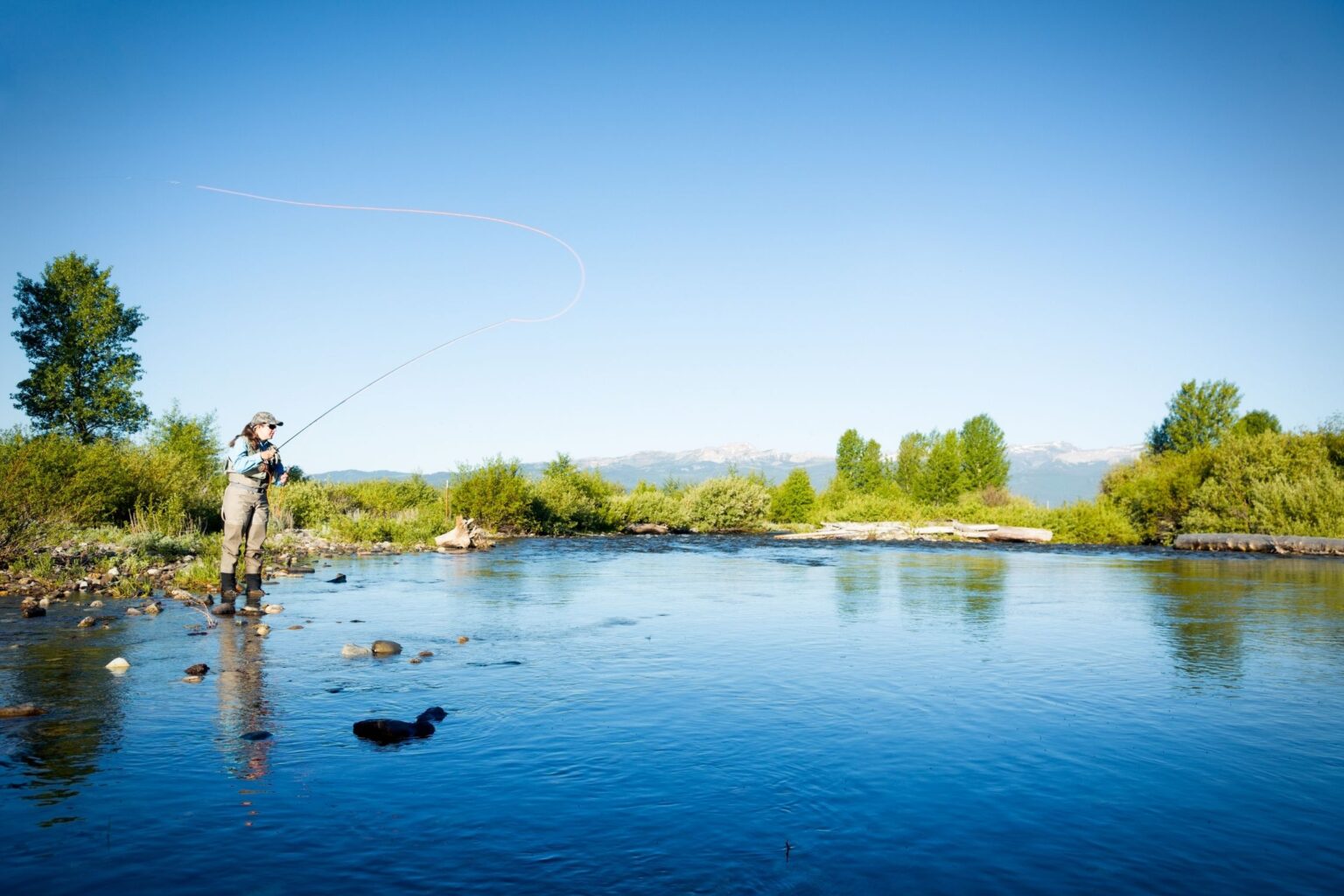 15 Best Things To Do in Whitefish, Montana