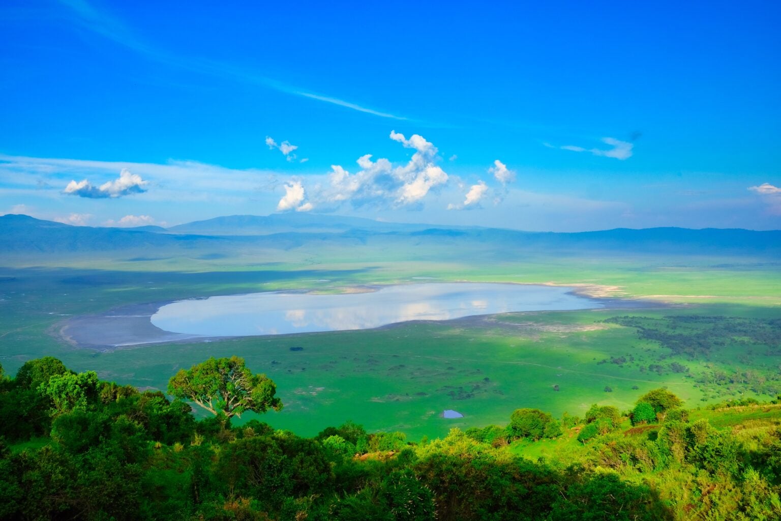 What To Expect On A Ngorongoro Crater Safari: Ultimate Guide
