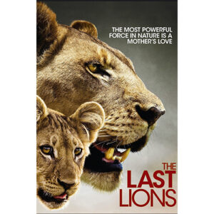 20 SPECTACULAR Safari Movies To Watch Before Your Safari