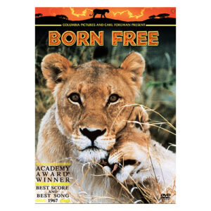 30 Movies About Africa to Watch Before Visiting the Continent