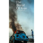 30 Movies About Africa to Watch Before Visiting the Continent