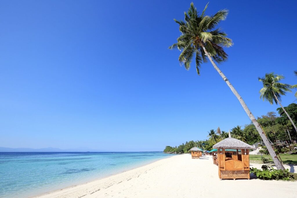 11 FANTASTIC Things To Do In Moalboal, Cebu