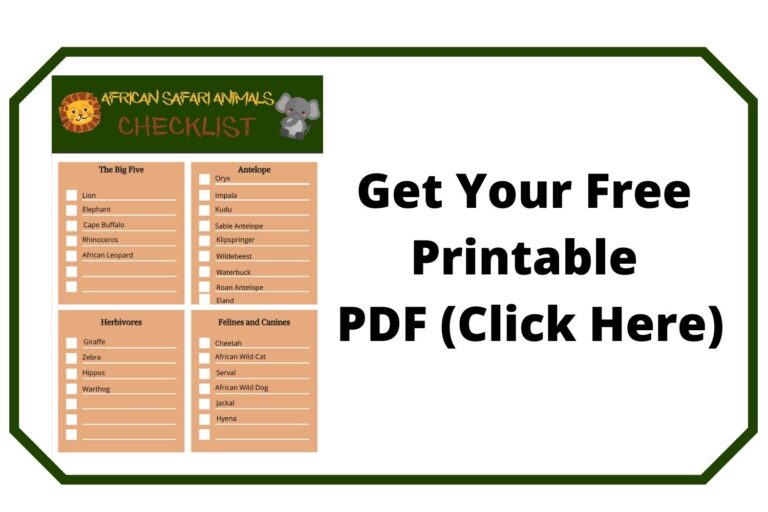 41 Awesome Safari Animals and Where to Find Them