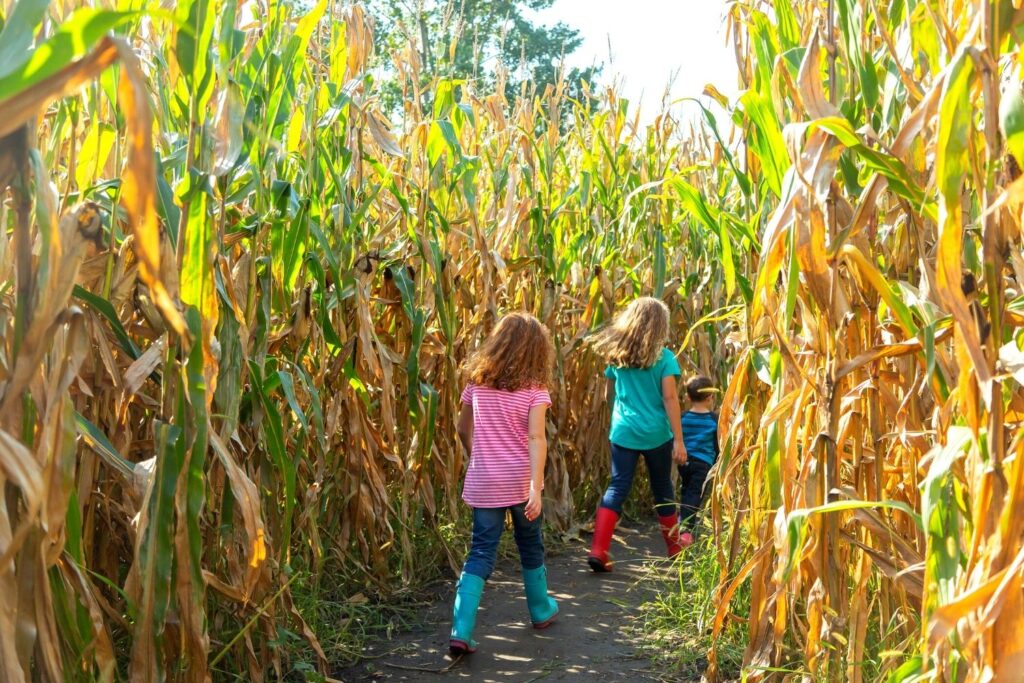 20 Fantastic Things To Do In Frankenmuth, Michigan