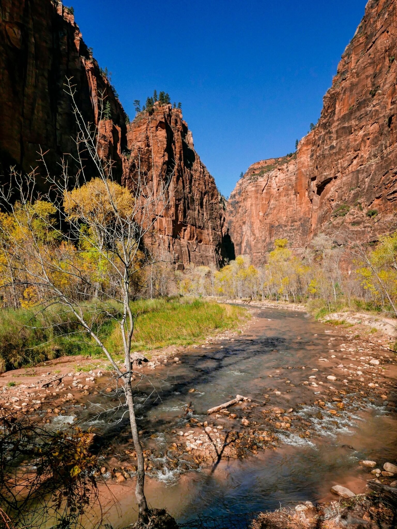 14 Best Zion Hikes To Enjoy In 2025