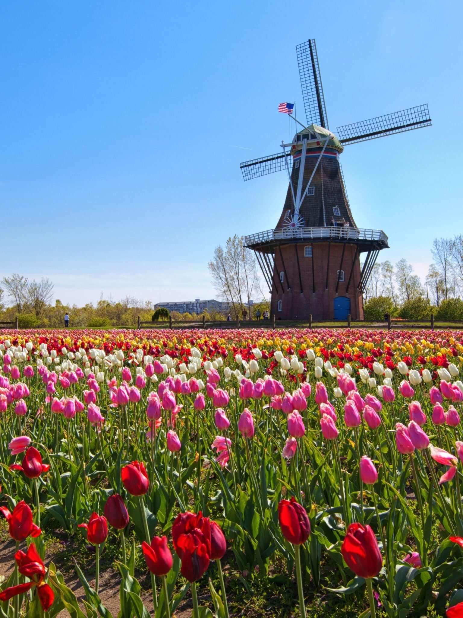 25 BEST Things to do in Michigan