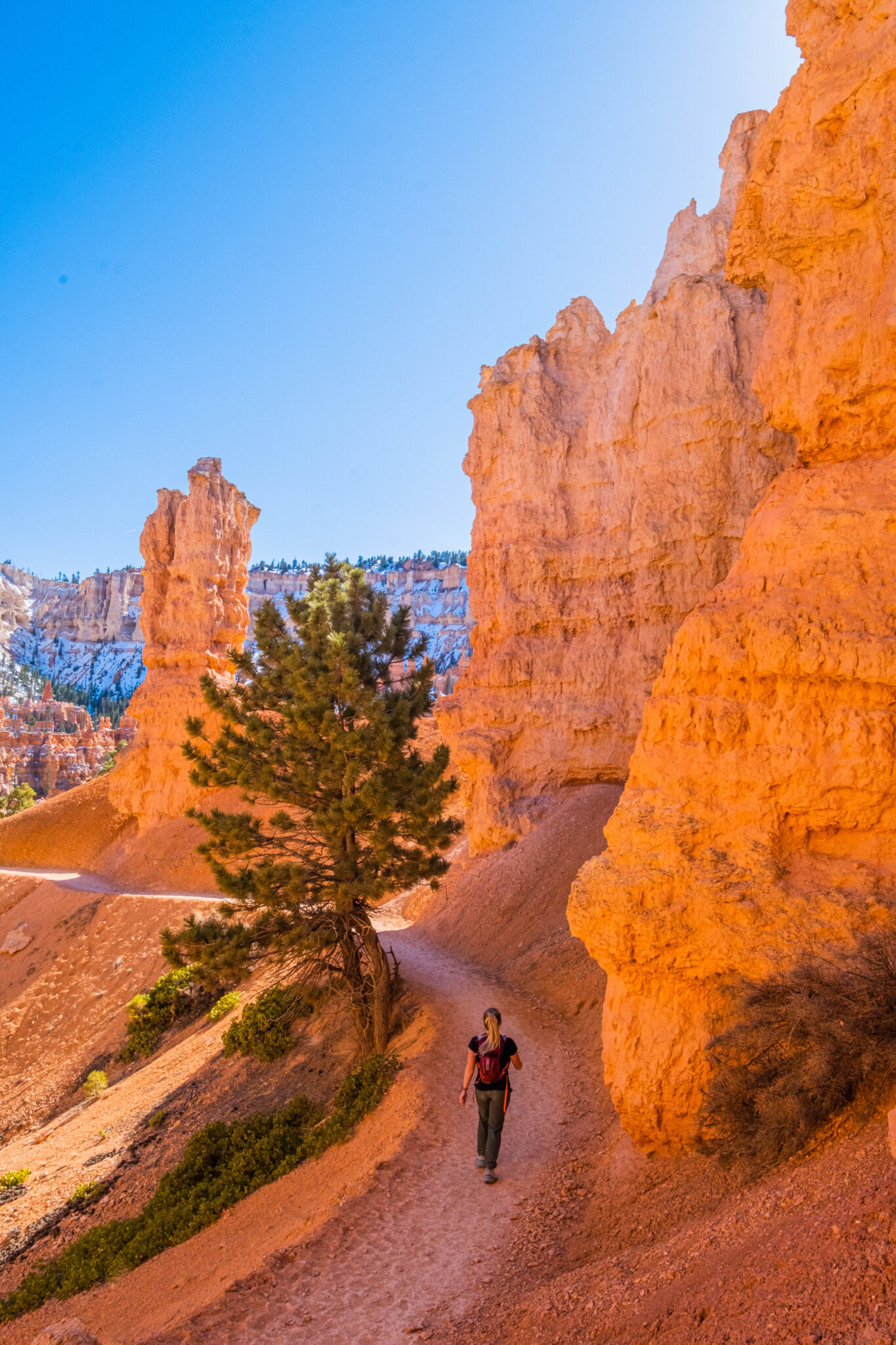 11 Best Hikes In Bryce Canyon National Park