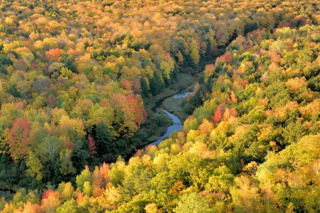 23 BEST Places To See Michigan Fall Colors In 2023