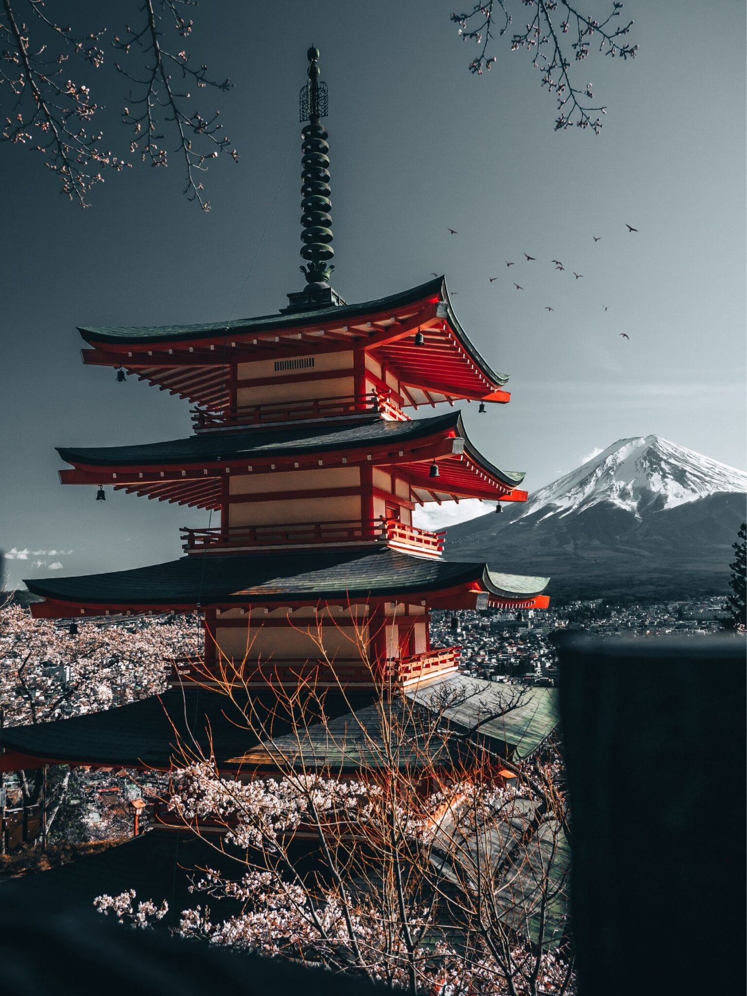 31 FUN Facts About Japan You Should Know