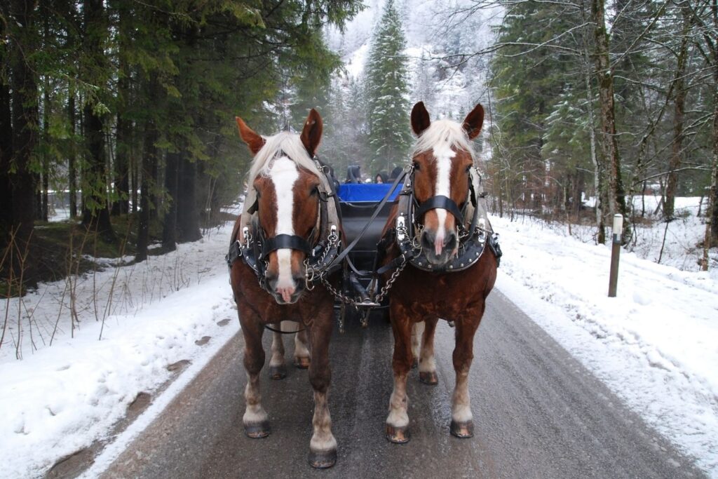 Christmas In Michigan: 20 Places To CELEBRATE In 2023