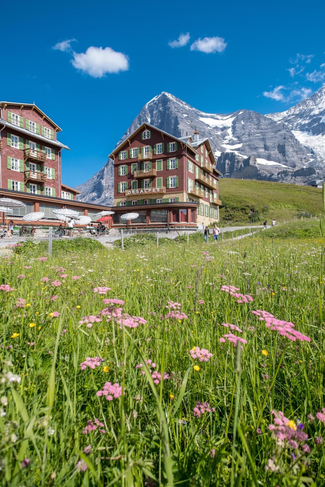 25 BEST Things To Do In Grindelwald In Summer