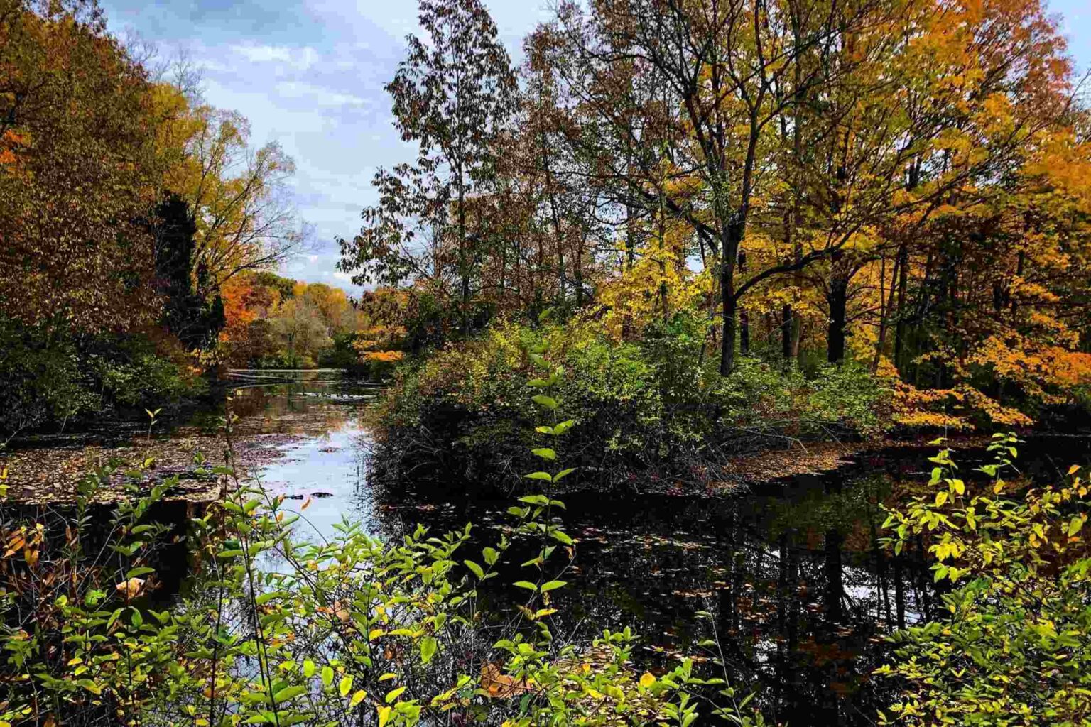 20 Best Things To Do In Lansing, Michigan