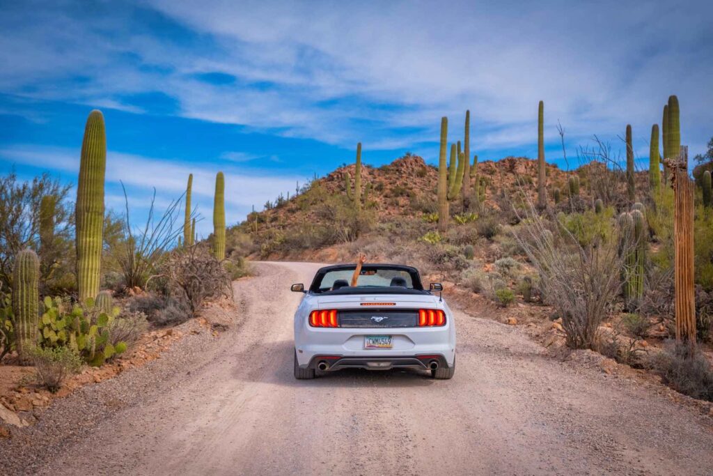 12 FUN Things to do in Tucson, AZ